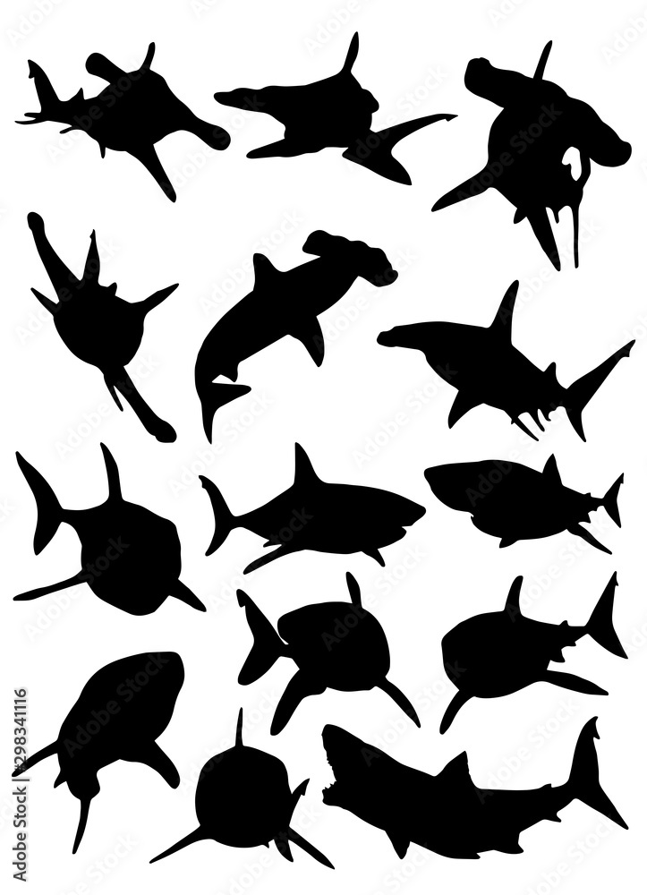 Graphical set of shark silhouettes isolated on white background,vector ...