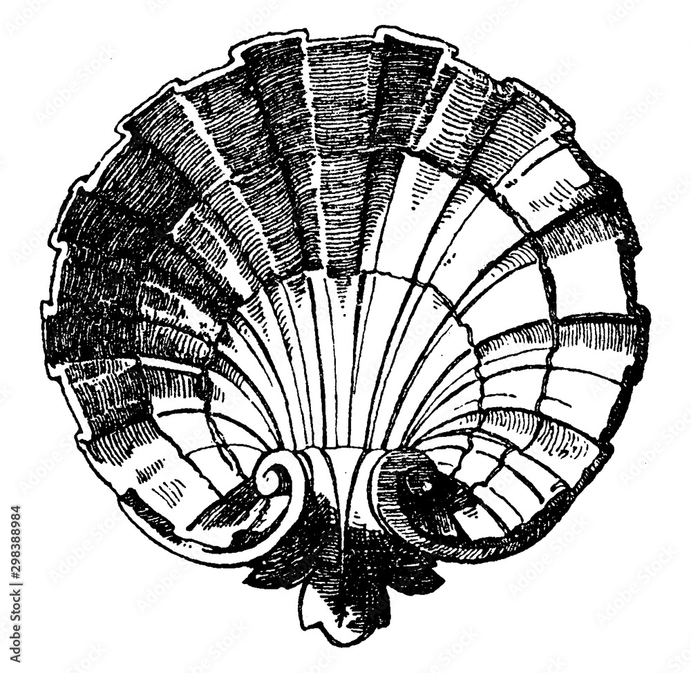 Scallop Design Shell was designed by sculptor Lehr of Berlin, vintage ...