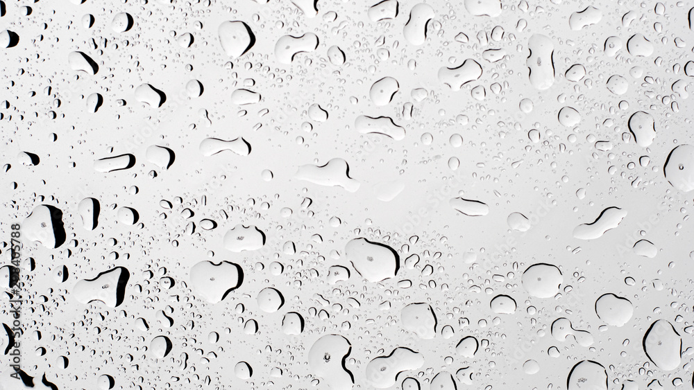 Water rain droplets on clear transparent glass background, clear water ...