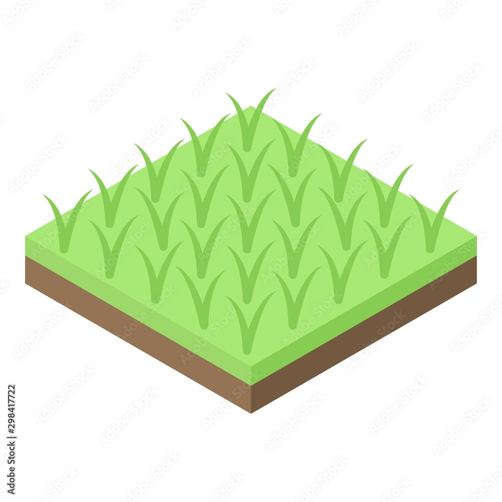 Rice plantation icon. Isometric of rice plantation vector icon for web ...