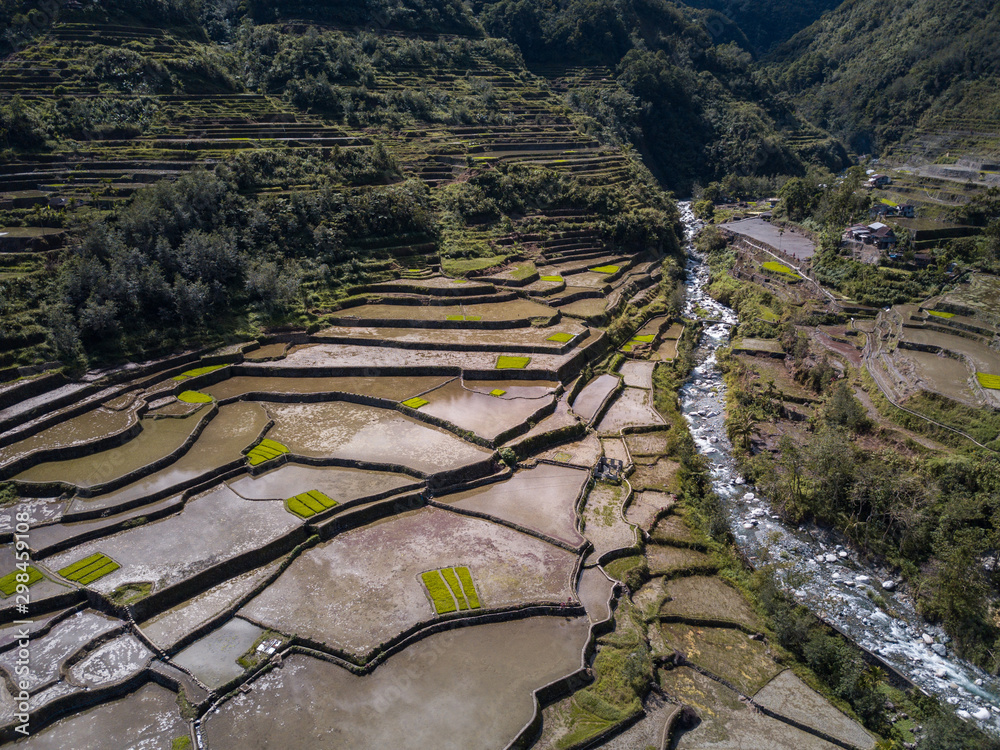 Baguio Rice Terraces of the Philippine Cordilleras Stock Photo | Adobe ...