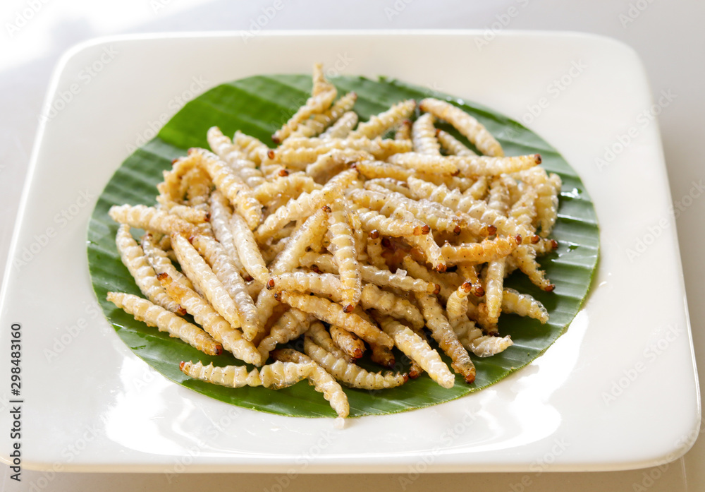 worm called bamboo caterpillar is popular weird food or jungle food in ...