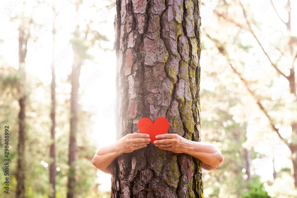 Two woman hands hugging a tree trunk and holding a red heart made of ...