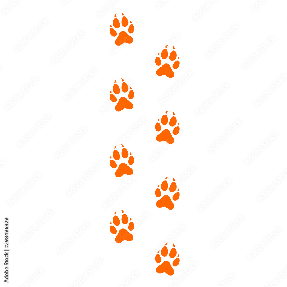 Fox paw print. Wild animal. Isolated paw prints on white background ...