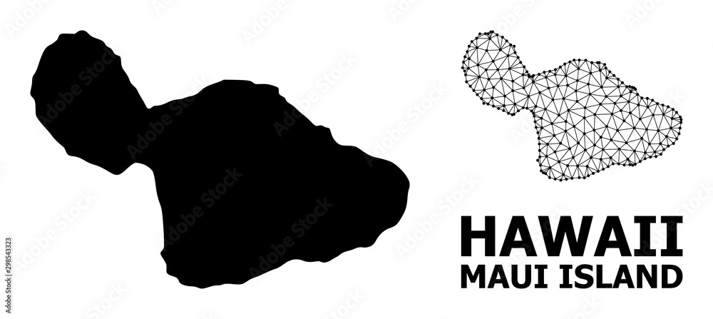 Solid and Network Map of Maui Island Stock Vector | Adobe Stock