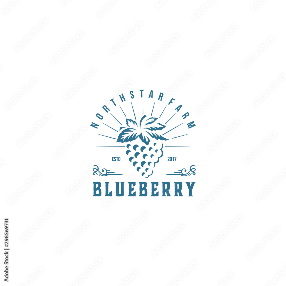 Vintage Blueberry farm logo design inspiration - vector Stock Vector ...