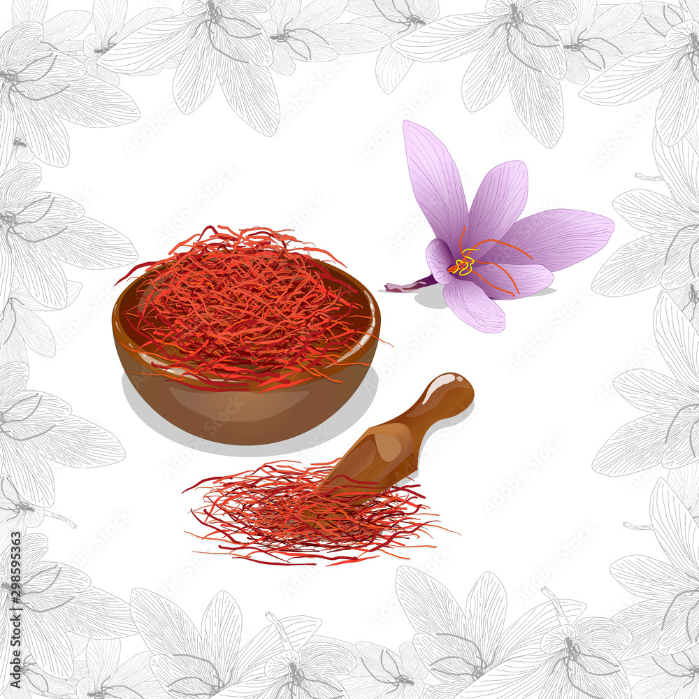 Saffron flower set in decorative frame. Vector isolated image Stock ...