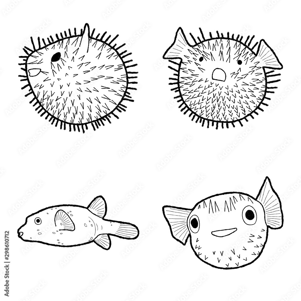 Blowfish Animal Vector Illustration Hand Drawn Cartoon Art Stock Vector ...