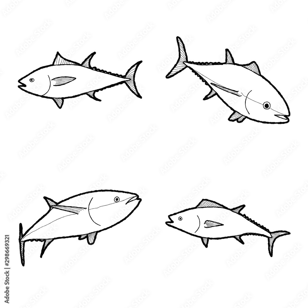 Bluefin Tuna Animal Vector Illustration Hand Drawn Cartoon Art Stock ...
