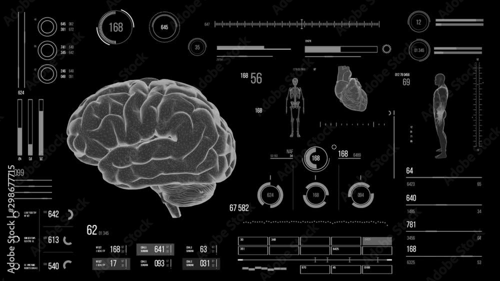 Human brain scan. Futuristic medical user interface with HUD and ...