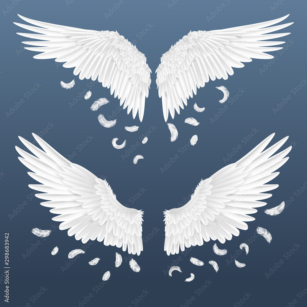 Bird Wings Design