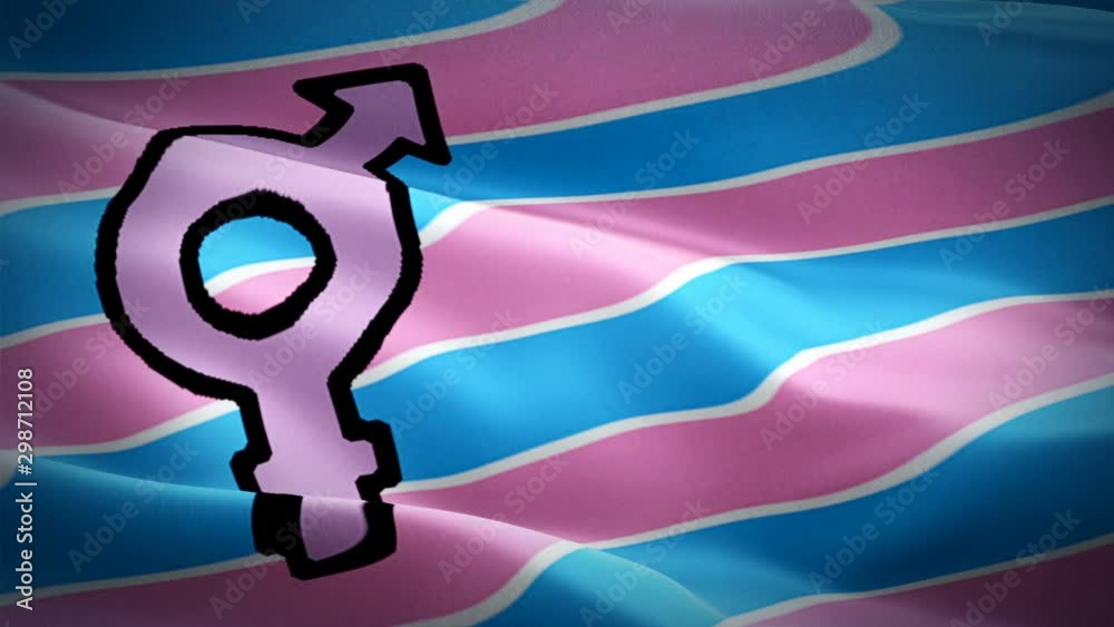 Trans Pride Flag Rainbow flag video waving in wind. gender different ...