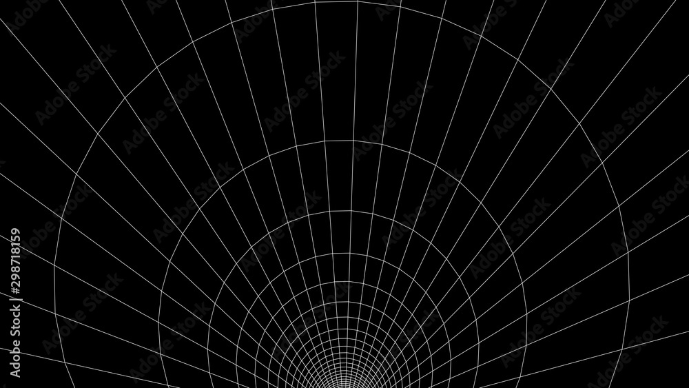 Vector perspective grid with a circular structure. Detailed lines on ...