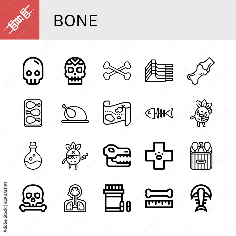 Set of bone icons such as Joint, Skull, Bones, Mutton, Chicken leg ...