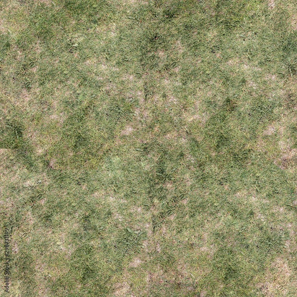 Grass Texture Seamless Material Map for creating materials, background ...