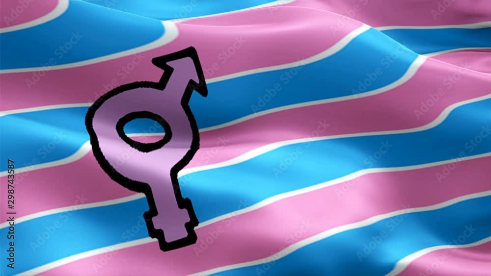 Transgender Flag Rainbow waving. 3d Trans Pride Symbol flag waving ...