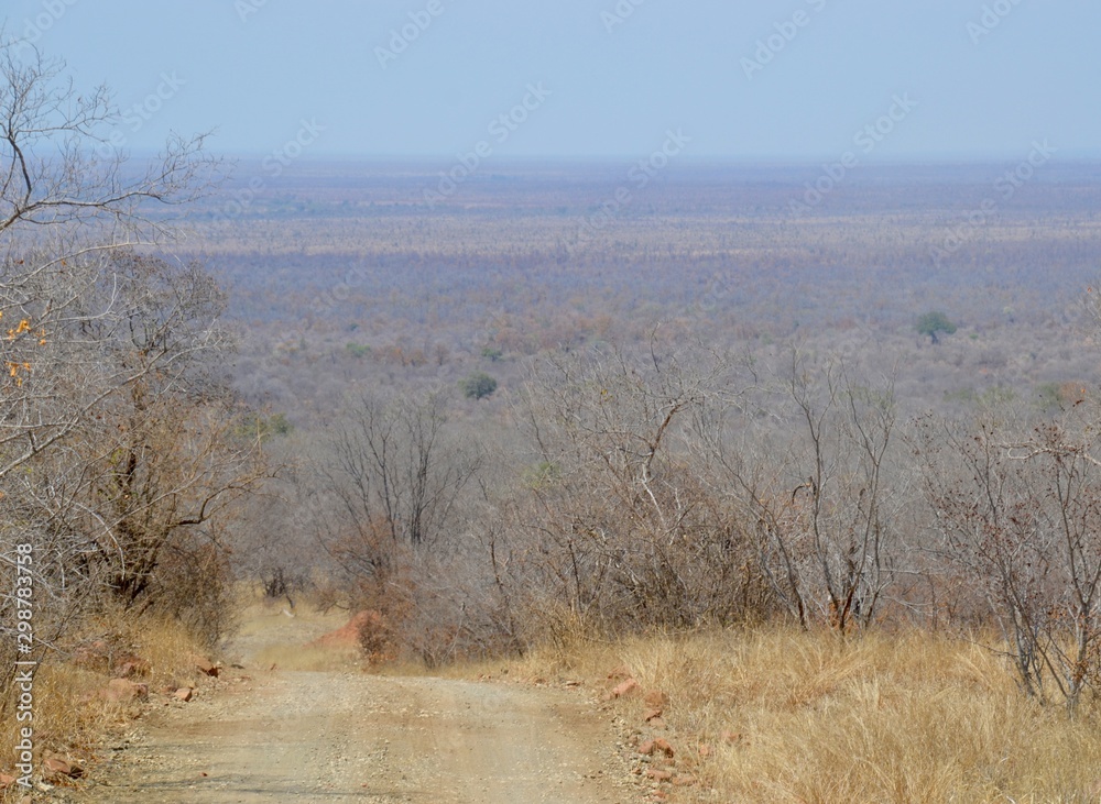 Dusty dirt gravel road leading up a hill with a magnificent flat dry ...