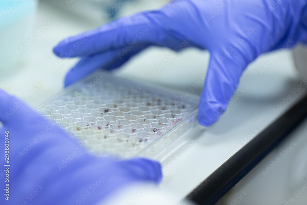Study of fish blood composition with 96 wells microplate for laboratory ...