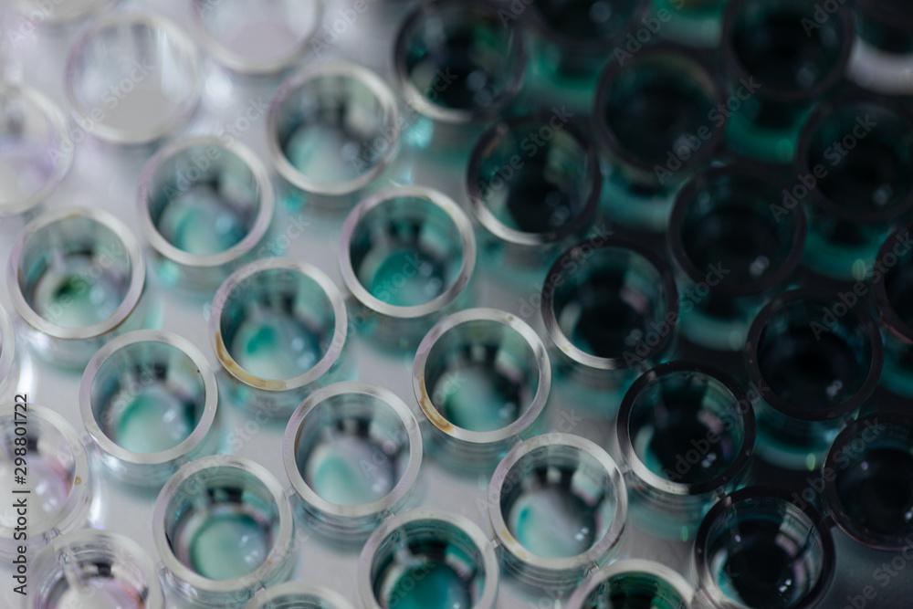 Study of fish blood composition with 96 wells microplate for laboratory ...