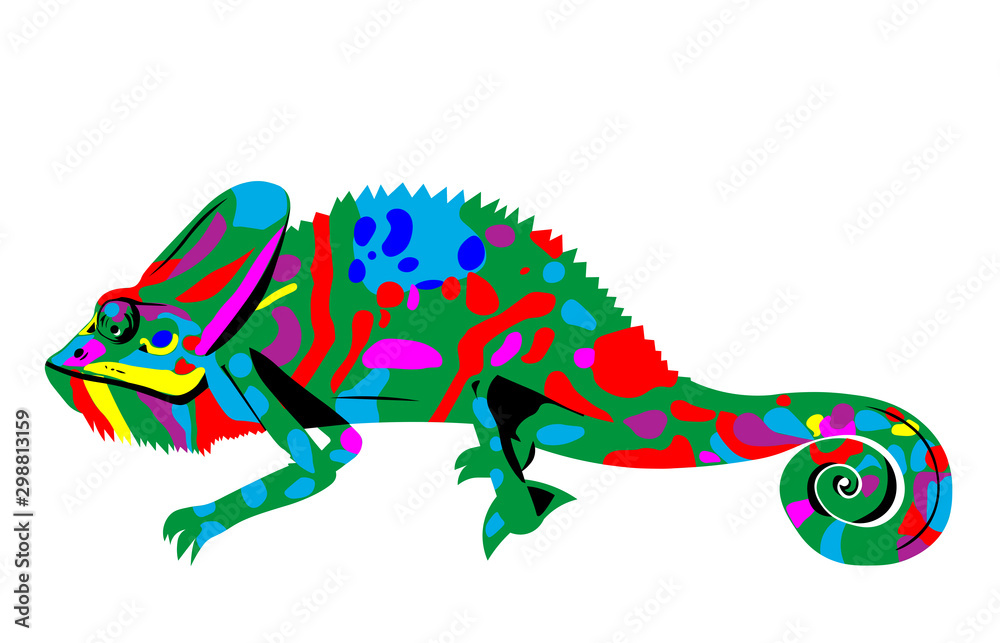 Colorful Chameleon White Background