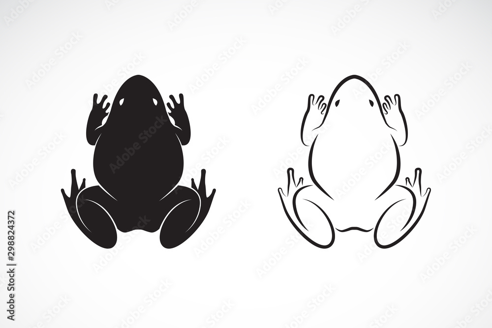 Vector of frogs design on white background. Amphibian. Animal. Easy ...