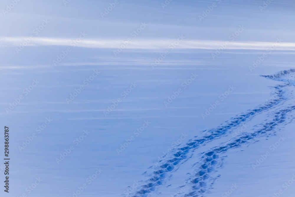 Snow path with footsteps in winter. Two snow-covered paths. Side by ...