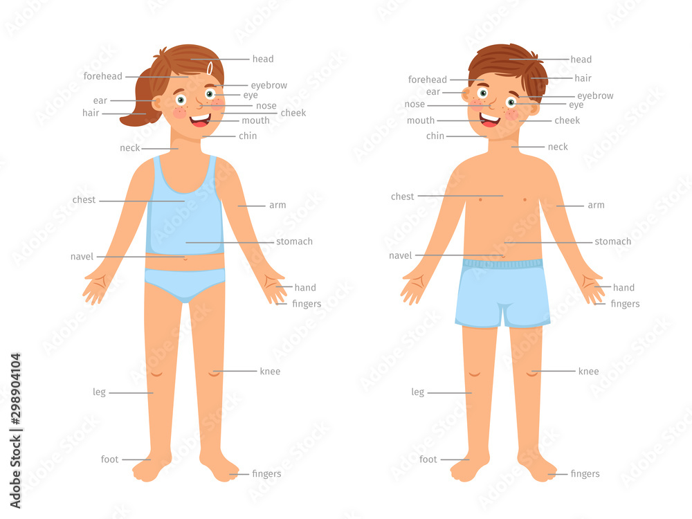 Vecteur Stock Kids body parts infographic. Vector human body education ...