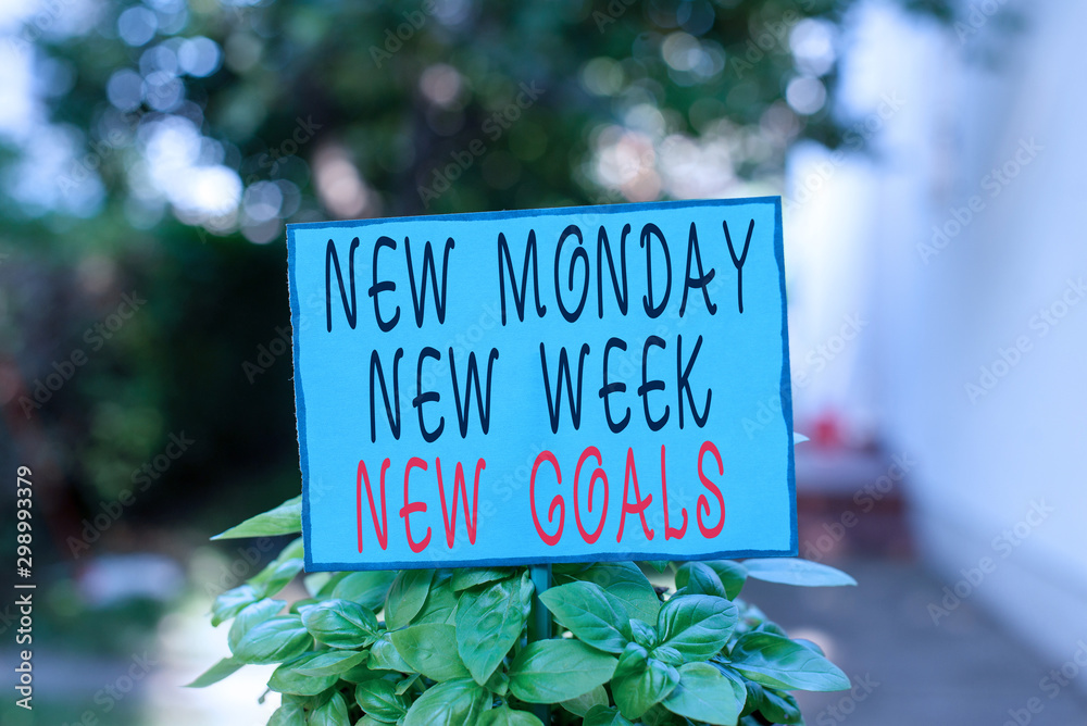Text sign showing New Monday New Week New Goals. Business photo text ...