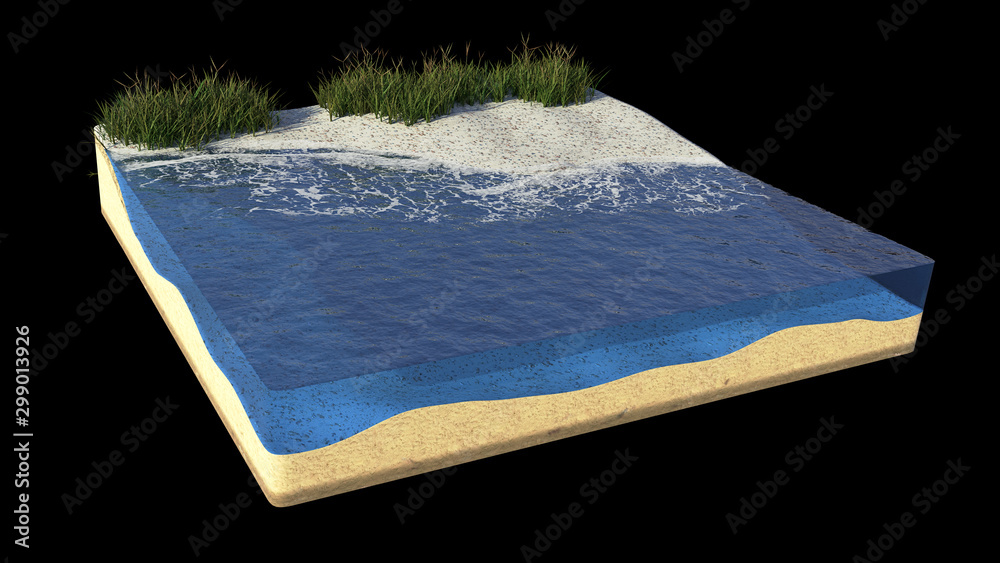 ภาพประกอบสต็อก cross section of a strand area with ocean water, beach ...