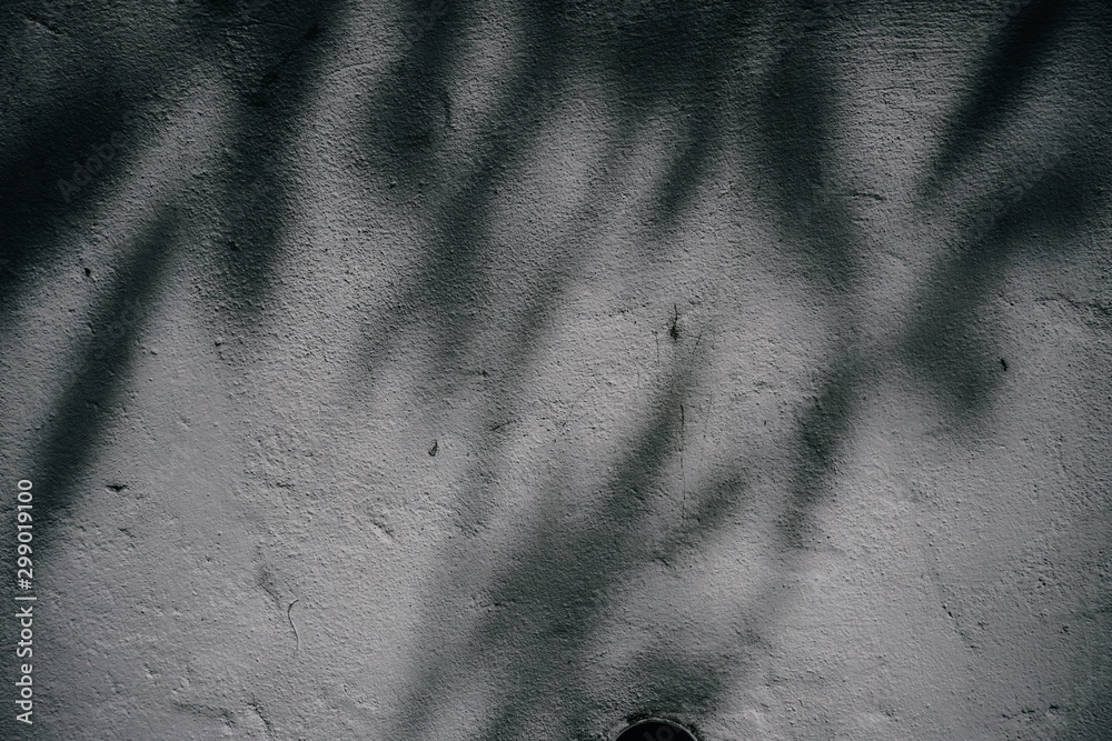 abstract shadow on white texture concrete wall Stock Photo | Adobe Stock