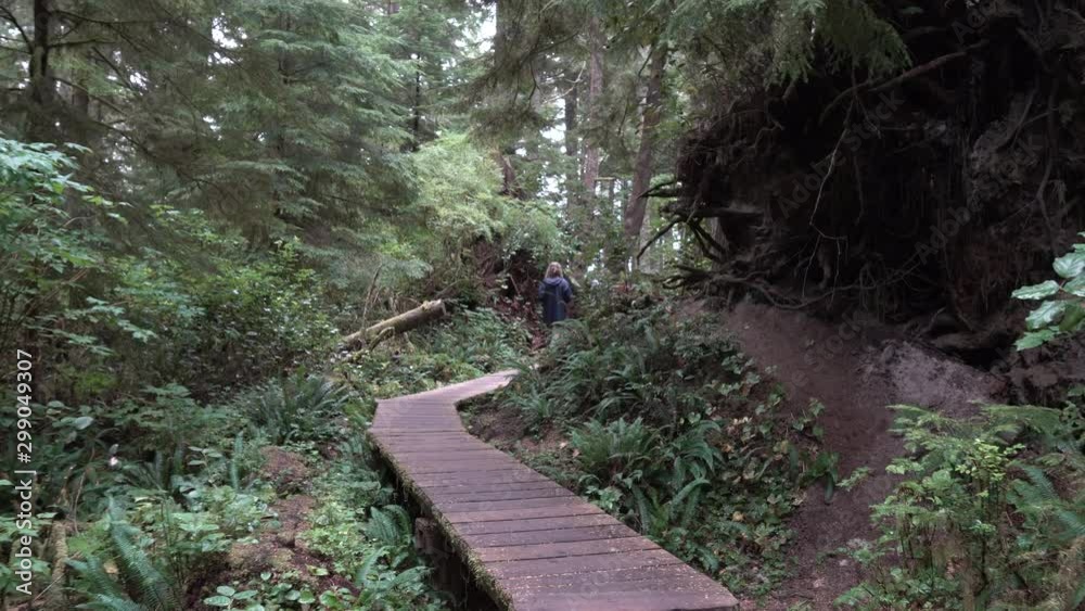 Three people walking on a wooden plank path in a forest trail while ...
