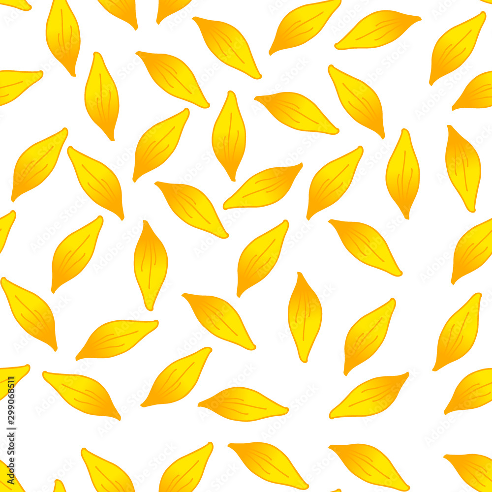 Sunflower Petal Pattern