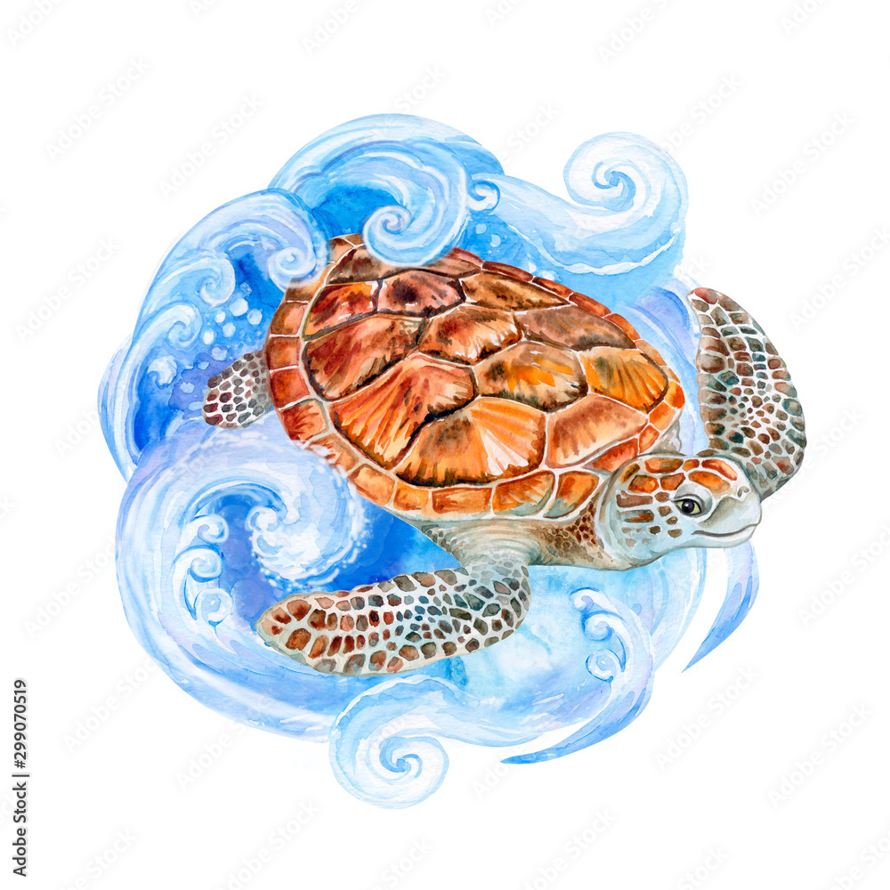 Sea turtle on the sea wave isolated on white background. Watercolor ...