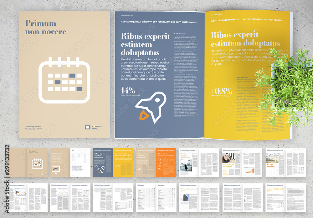 Minimalist Annual Report Layout Stock Template | Adobe Stock