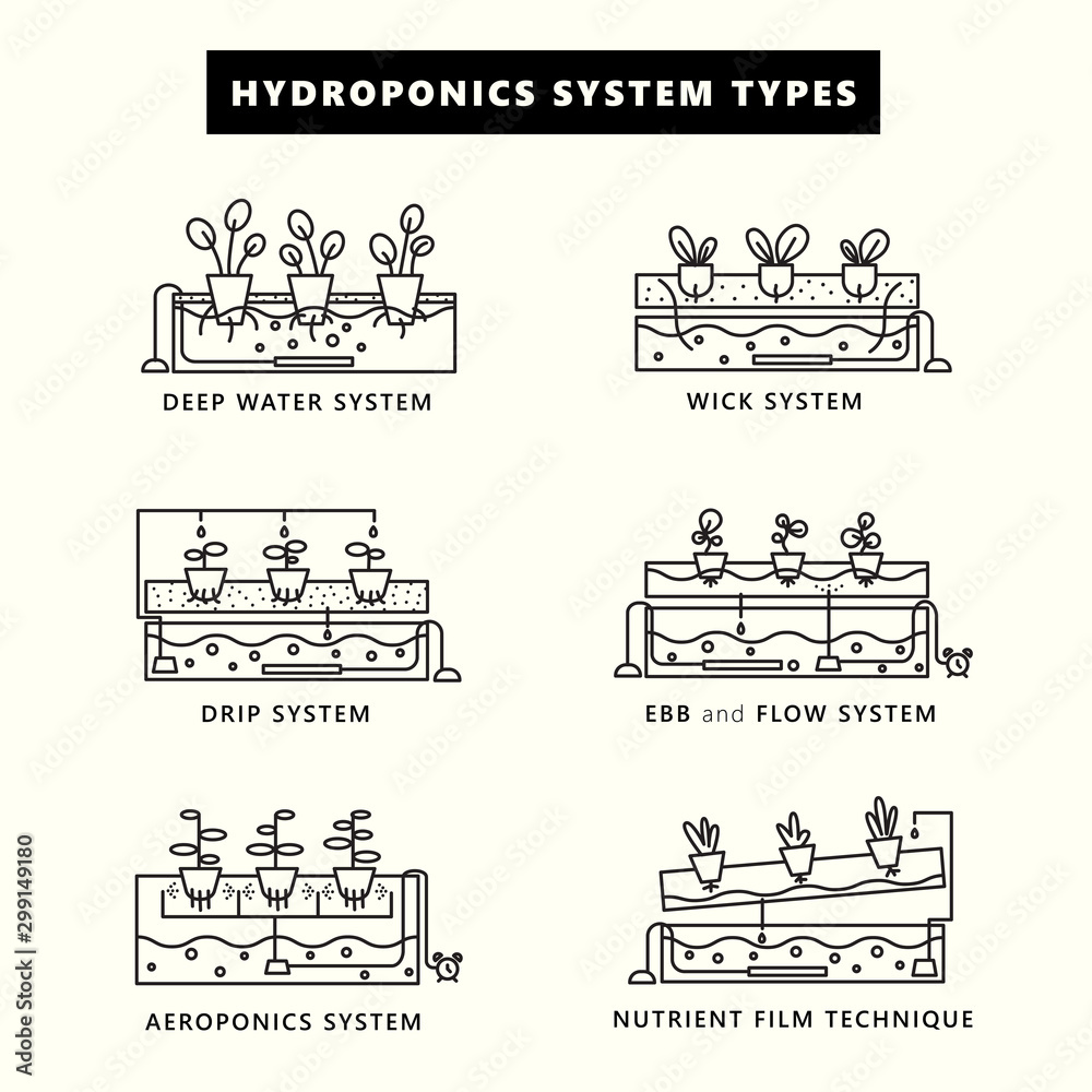 Hydroponics system types. Icon set in outline style. Vector ...