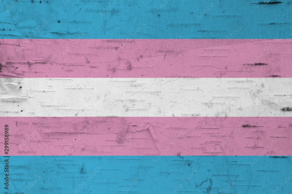 A rustic old transgender flag on weathered wood Stock Photo | Adobe Stock