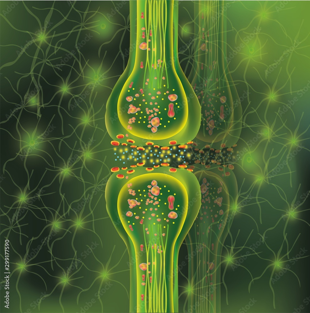 3D synapse and Neuron cells. Transmission signal of impulse in a living ...
