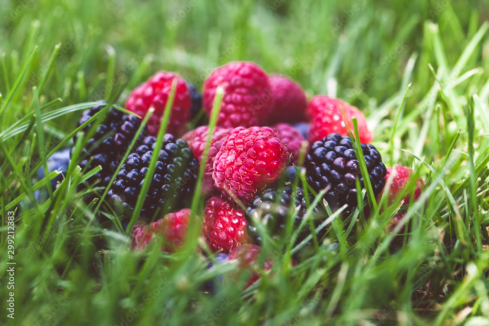Summer berry fruits in green grass background. Stock Photo | Adobe Stock