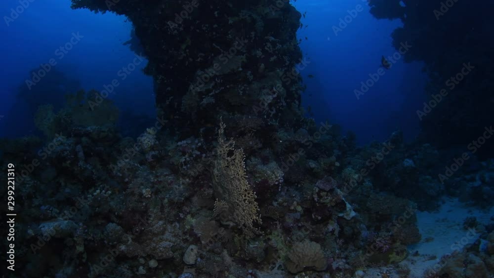 Vidéo Stock Beautiful seascape with coral pinnacles of st john reefs in ...