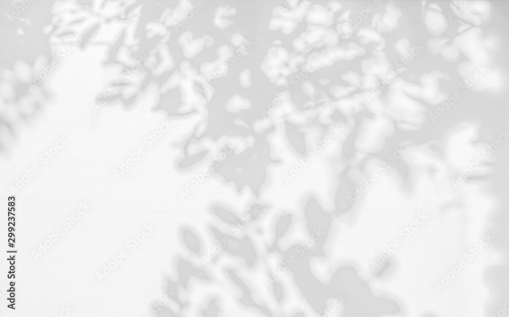 Tree shadow with leaves, trunk, branch and light shadow of big tree on ...