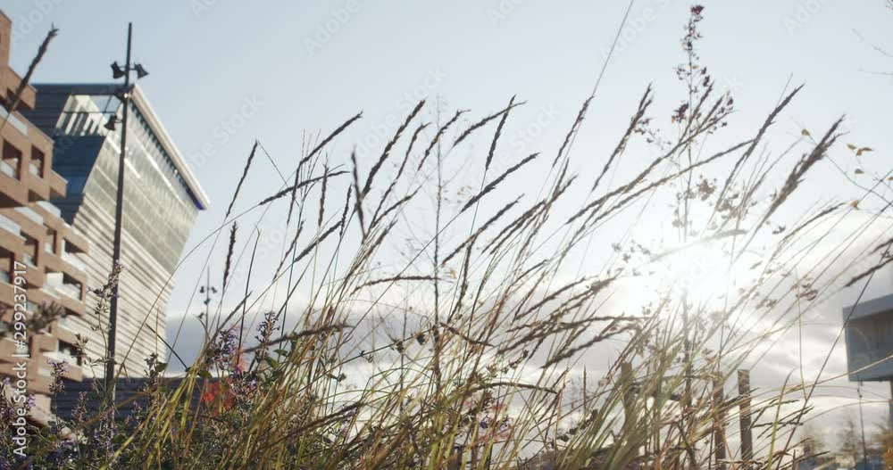 Vidéo Stock 4K static medium shot of the new Edvard Munch museum Lambda ...