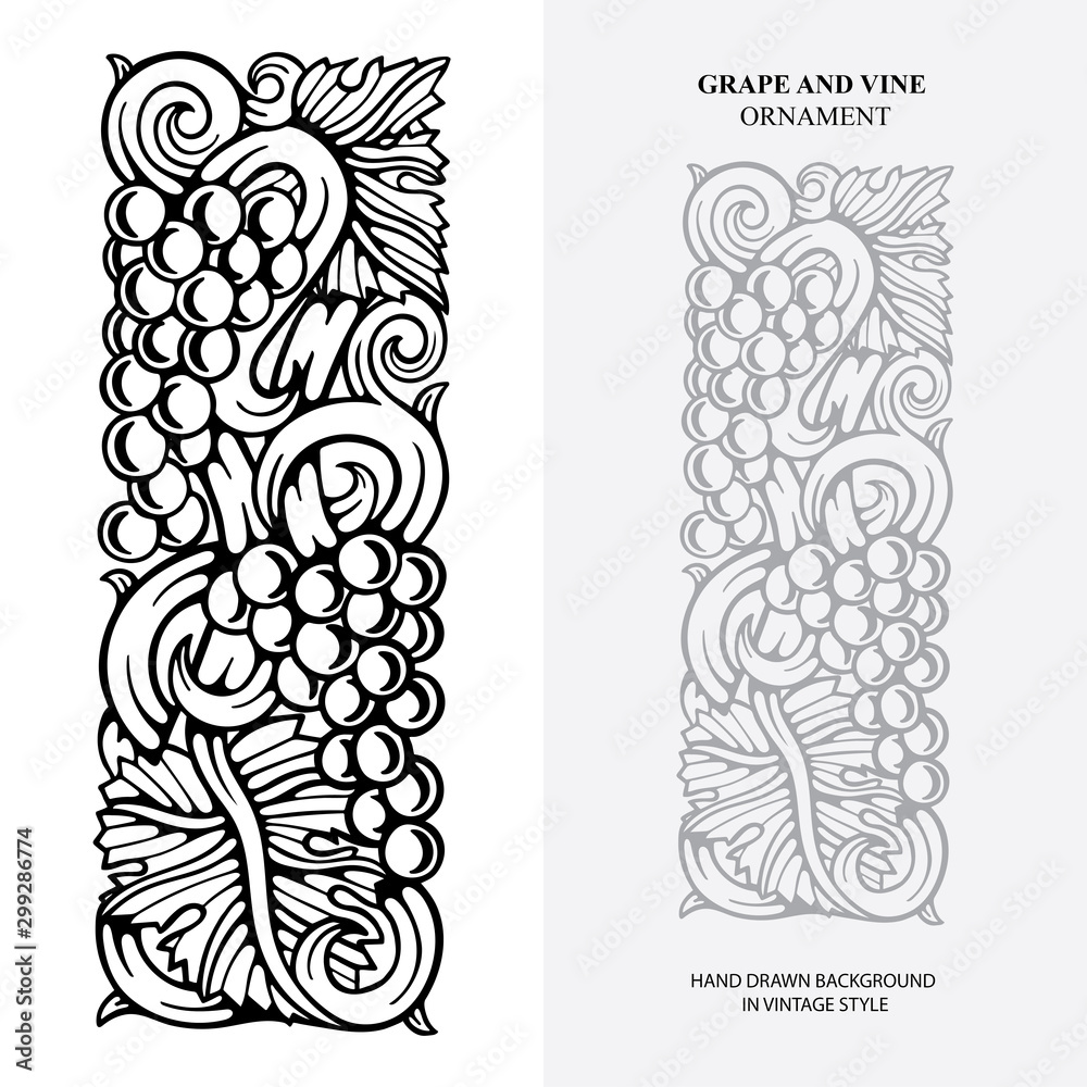Grapes. Grape and vine engraving style hand drawn vector illustration ...