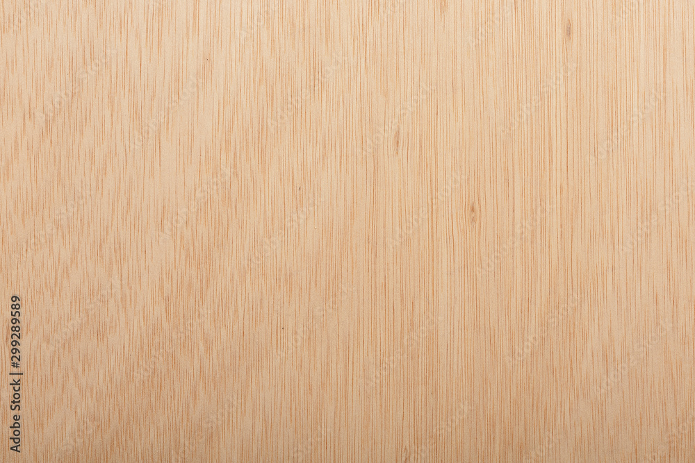 textura madera contrachapado arce, fondo, macro Stock Photo | Adobe Stock