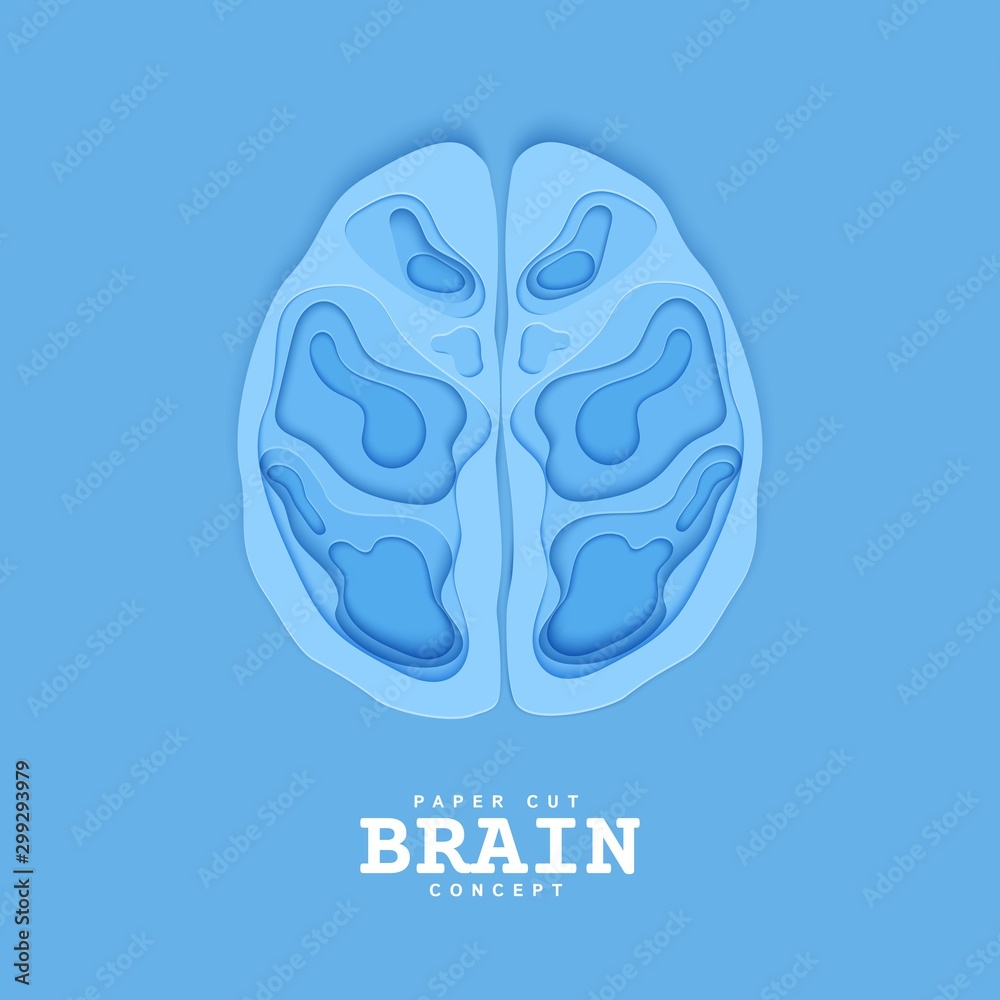 Section of the human brain in papercut style. Blue cardboard cutting ...