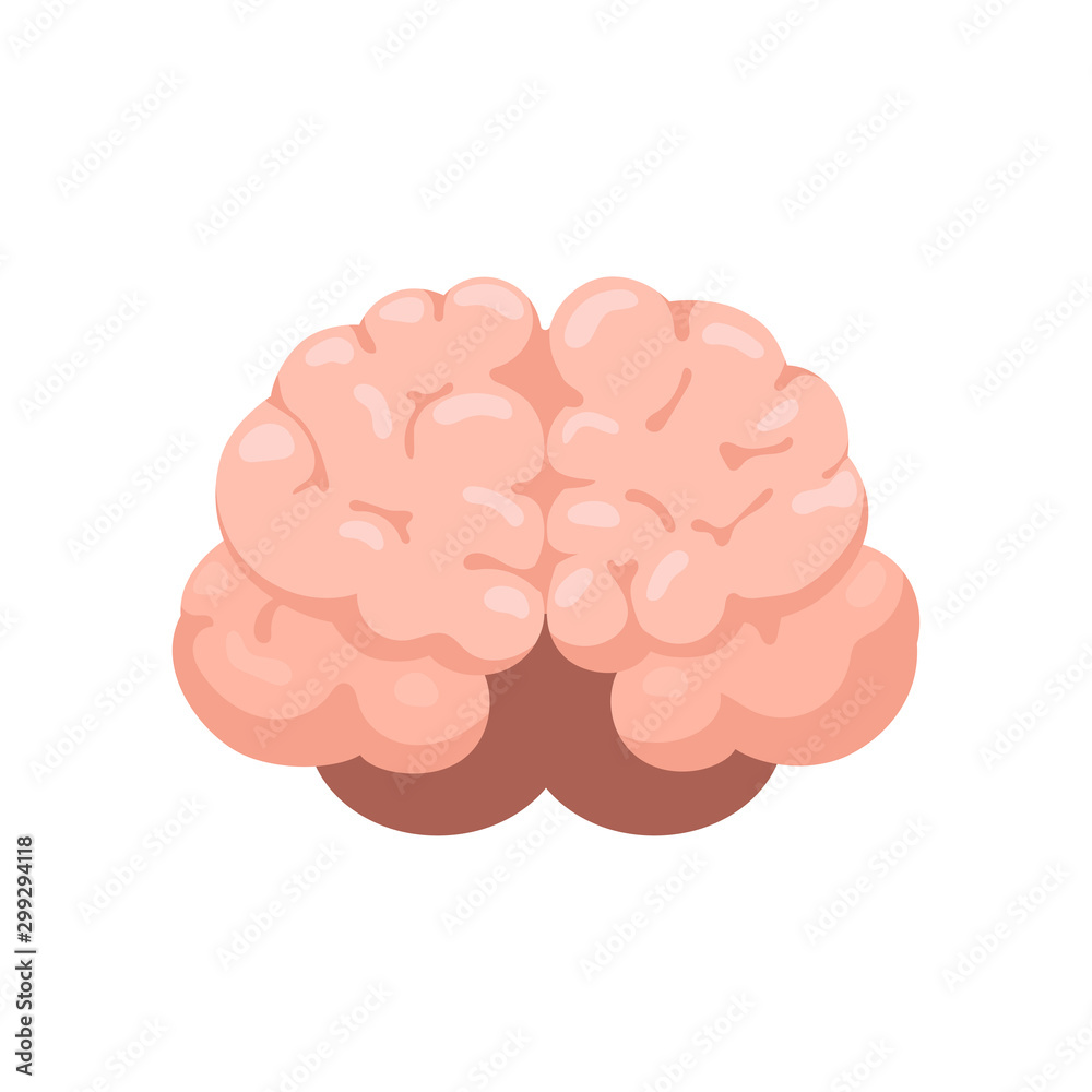 Brain Drawing Front View