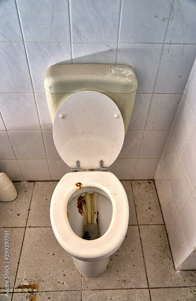 Poop Toilet Bowl