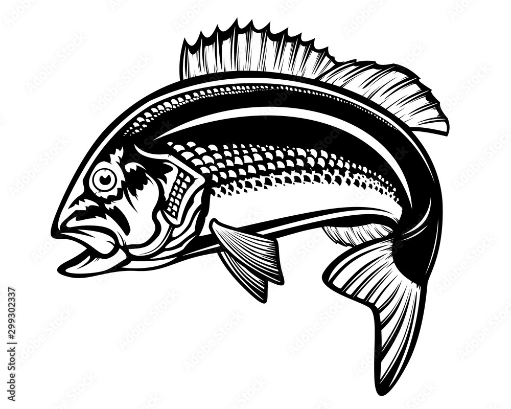 Snapper Logo Vector
