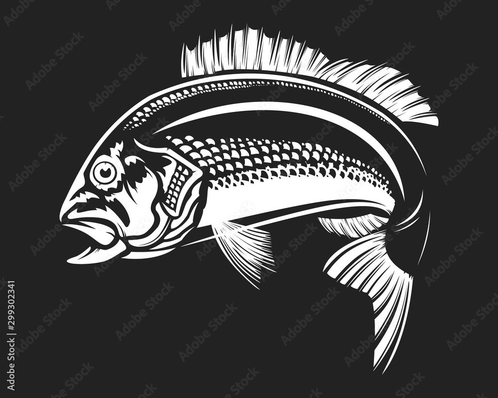Red snapper isolated vector illustration. Fishing logo of red snapper ...