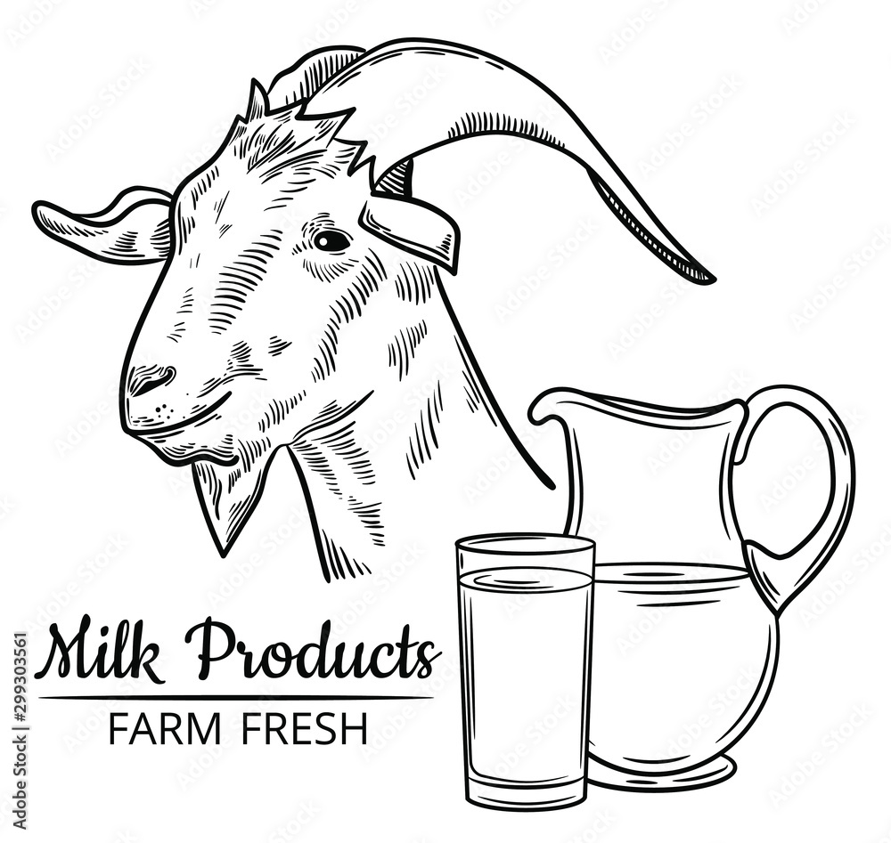 vector illustration of farm animal goat head, ideal for label, logo ...