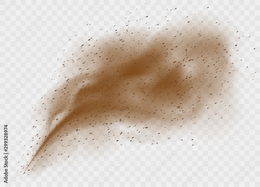 Plakat Dust cloud with ground particles isolated on a transparent ...